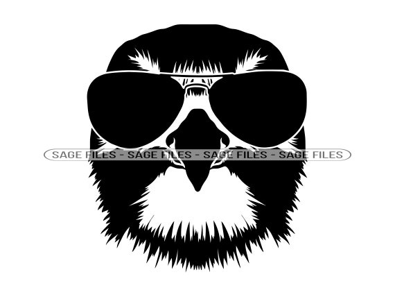 Falcon in Sunglasses SVG Falcon SVG Cool Falcon Svg Falcon - Etsy