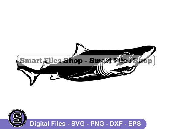 Gulper Shark SVG Shark Svg Gulper Shark Dxf Gulper Shark | Etsy
