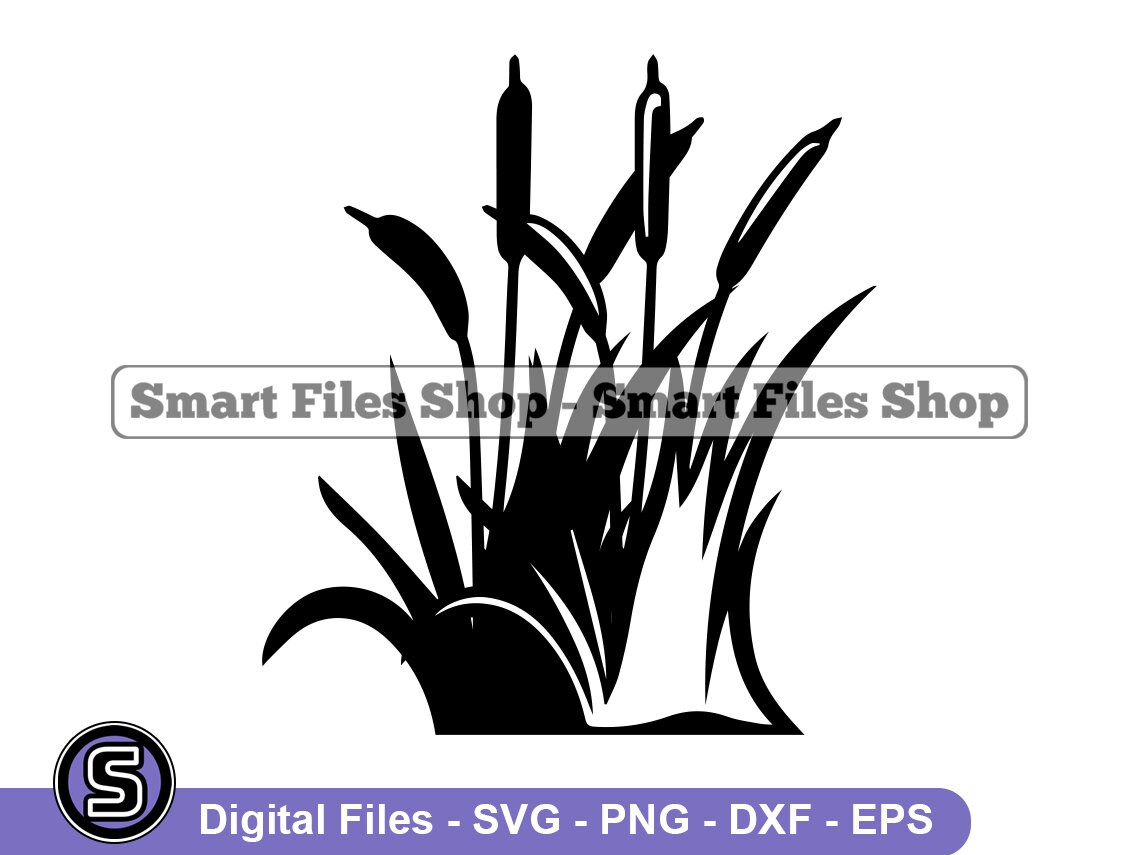 Bull Rush Plant SVG, Bull Rush Plant Dxf, Bull Rush Plant Png, Bull ...