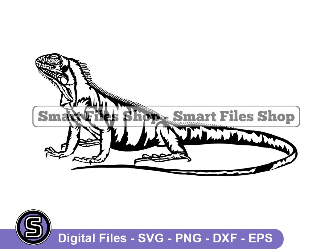 Iguana #3 Svg, Iguana Svg, Lizard Svg, Iguana Dxf, Iguana Png, Iguana ...