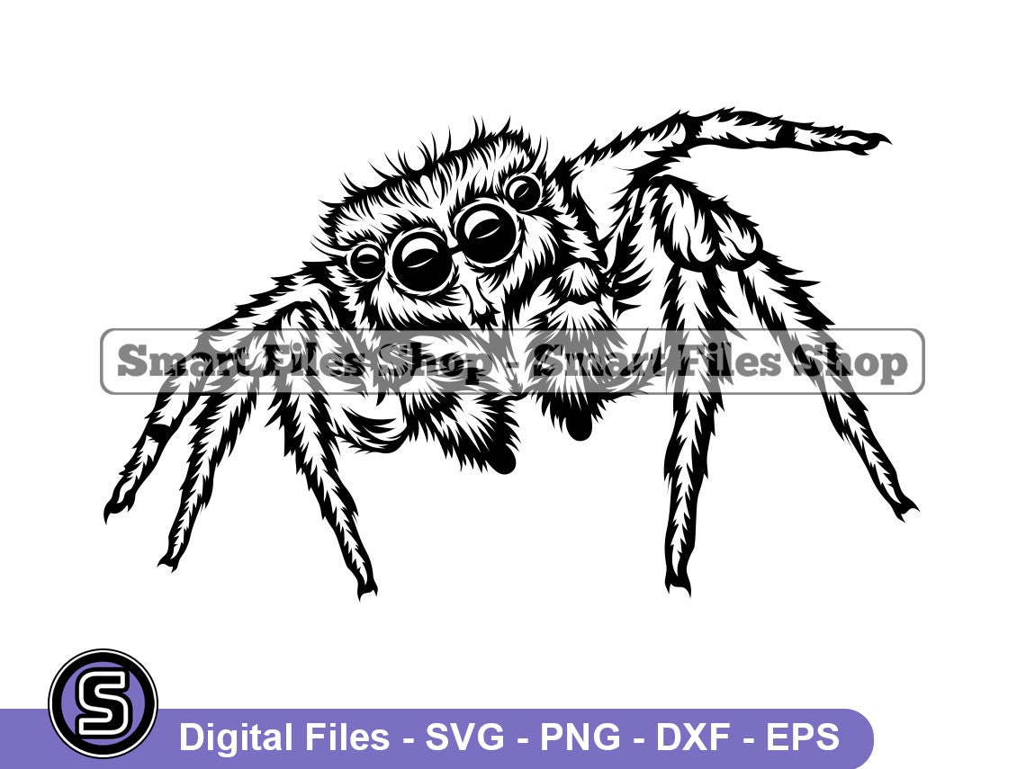 Spider SVG Spider Design Svg Spider Dxf Spider Png Spider | Etsy UK