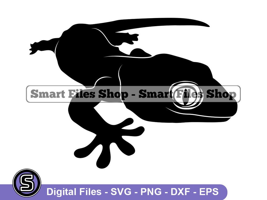 Lizard Close up Svg Lizard Svg Lizard Dxf Lizard Png - Etsy