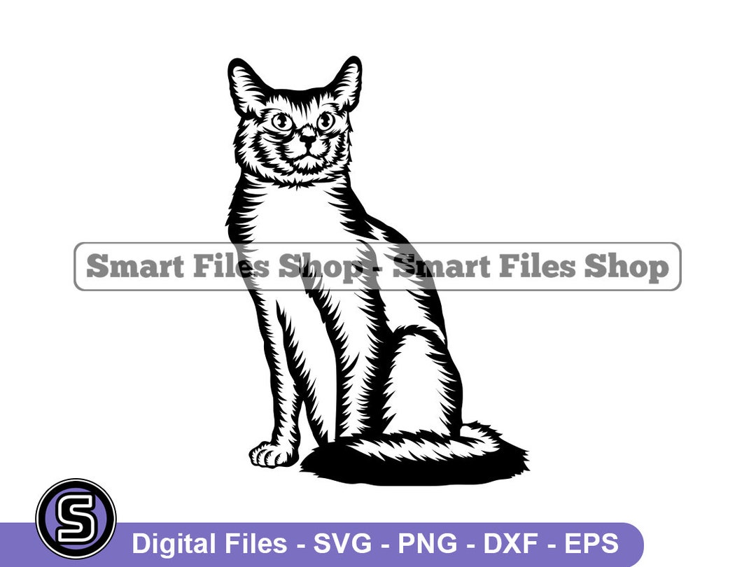 Katze SVG , Katze Svg, Katze Svg, Katze Svg, Katze Png, Katze Png ...