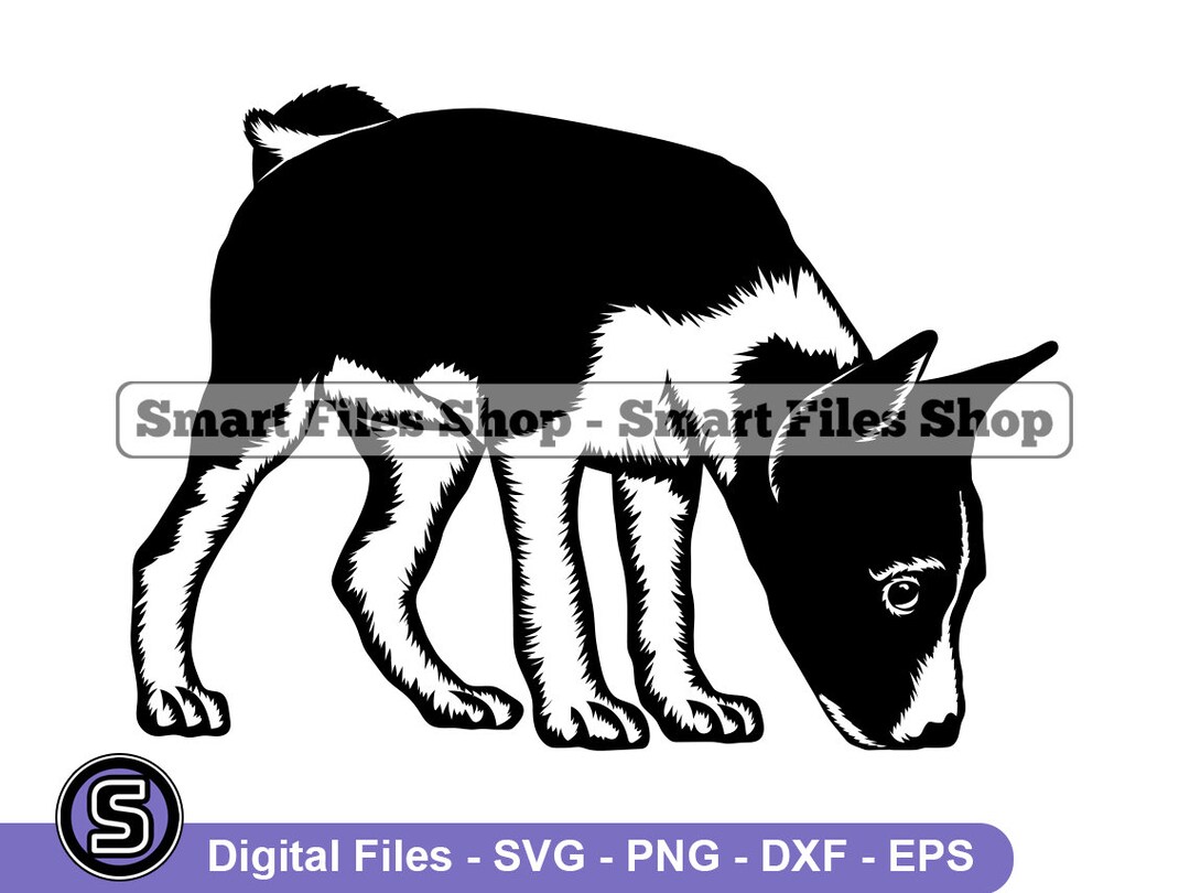 Sniffing Dog #7 Svg, Dog Svg, Hunting Dog Svg, Sniffing Dog Dxf ...