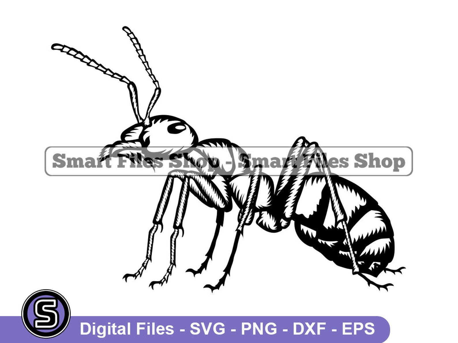 Ant 3 Svg Ant Svg Insect Svg Ant Design Svg Cdxf Axolotl - Etsy