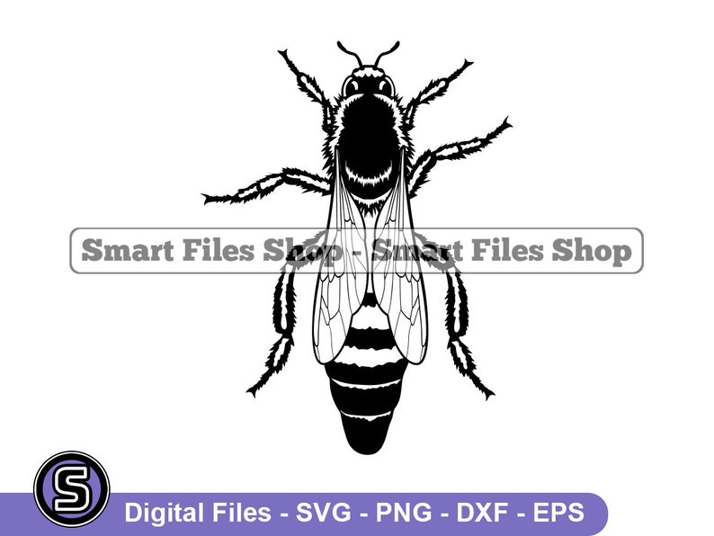 Queen Bee Svg Bee Svg Honey Bee Svg Bee Dxf Bee Png Bee - Etsy