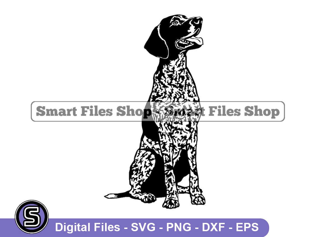 Sitting German Shorthaired Pointer SVG, German Shorthaired Pointer Svg ...