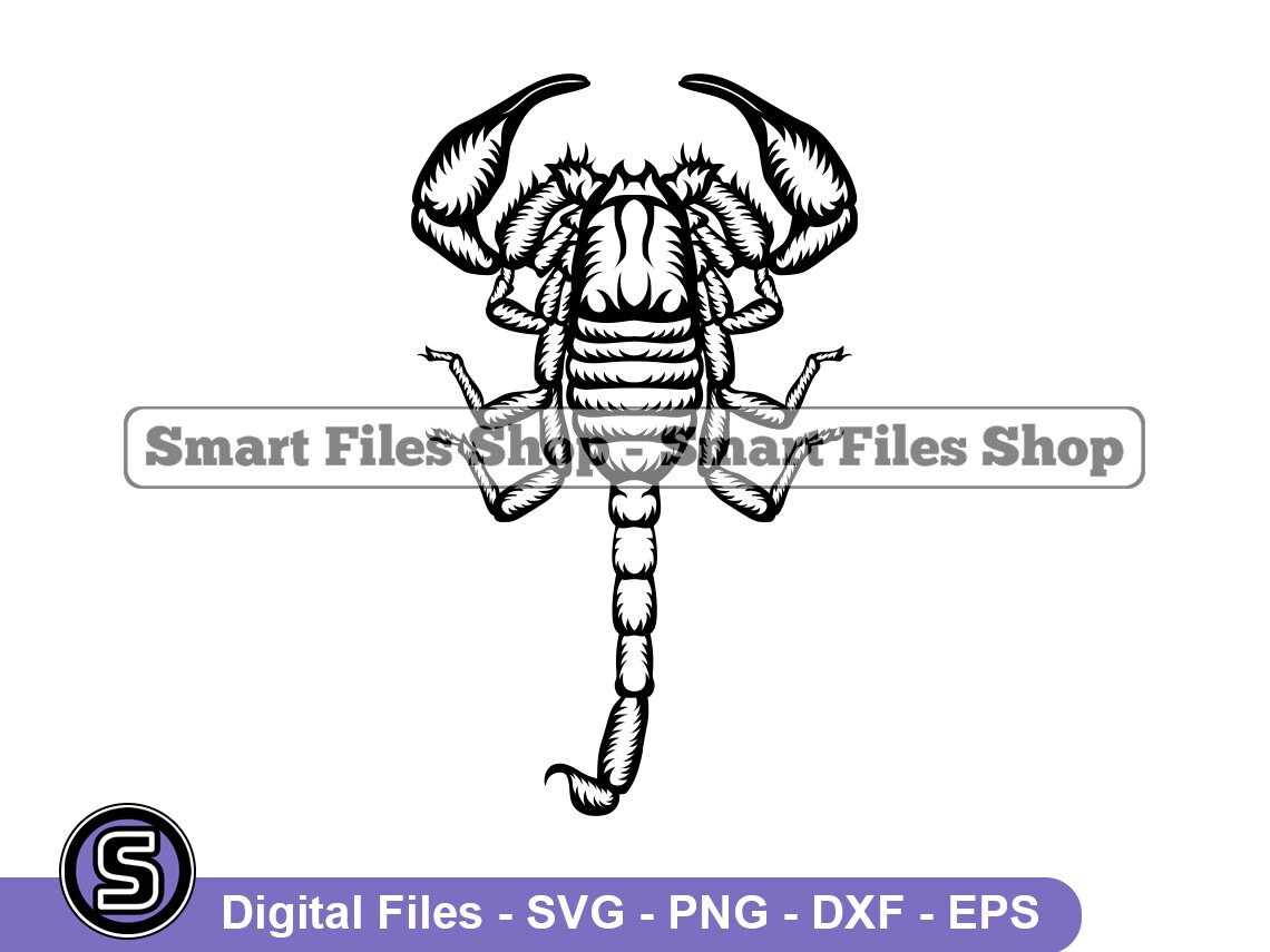 Scorpion 2 Svg Scorpion Svg Scorpion Logo Svg Scorpion - Etsy