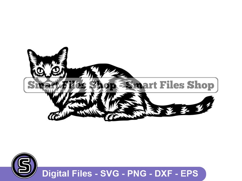 Scared Cat Svg Cat Svg Pet Svg Scared Cat Dxf Scared Cat - Etsy