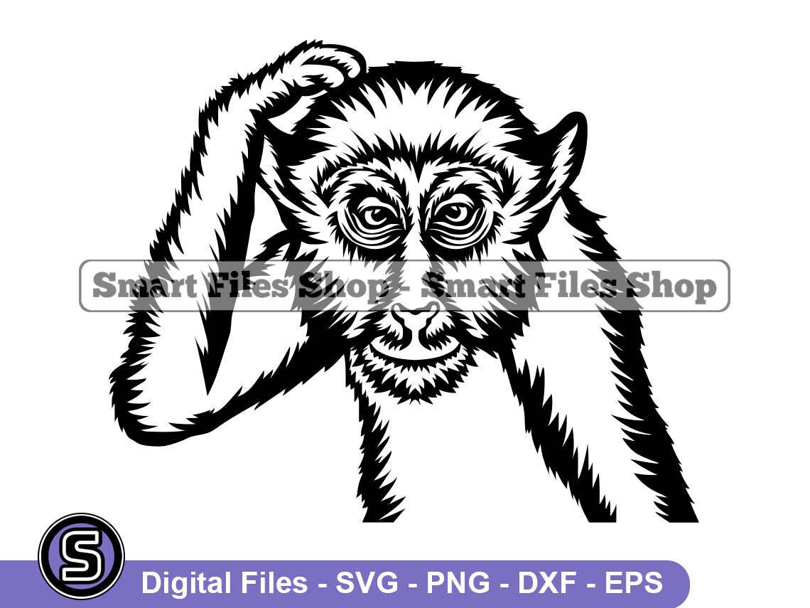 Monkey Scratching Head SVG Monkey Svg Monkey Dxf Monkey | Etsy