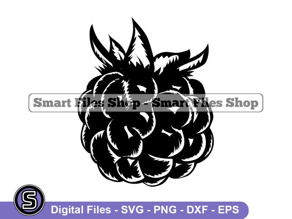 Raspberry Svg Fruits Svg Raspberry Dxf Raspberry Png - Etsy Norway