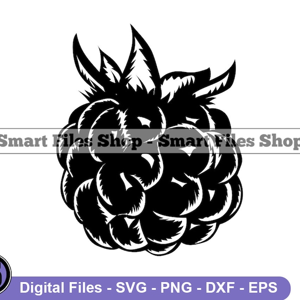 Raspberry Svg - Etsy