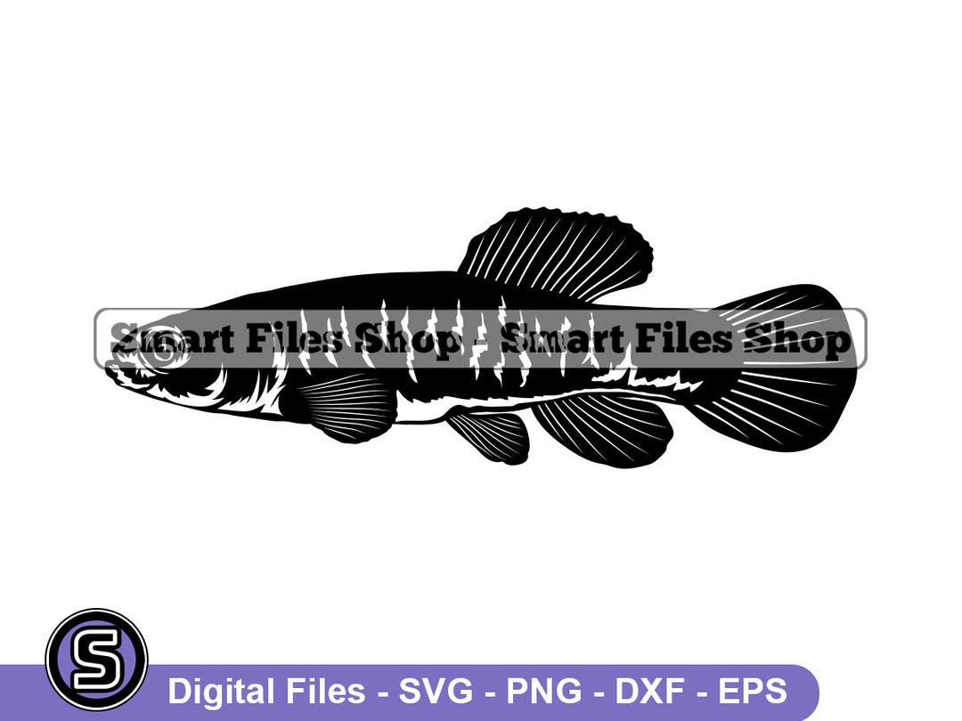 Central Mudminnow Svg, Fish Svg, Fishing Svg, Fishing Dxf, Fishing Png ...