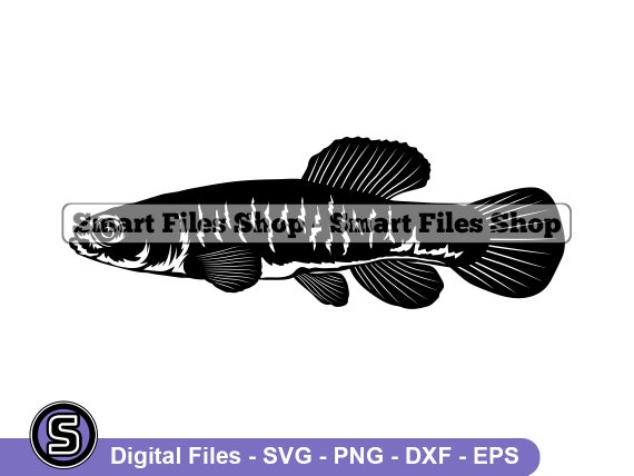 Central Mudminnow Svg Fish Svg Fishing Svg Fishing Dxf | Etsy