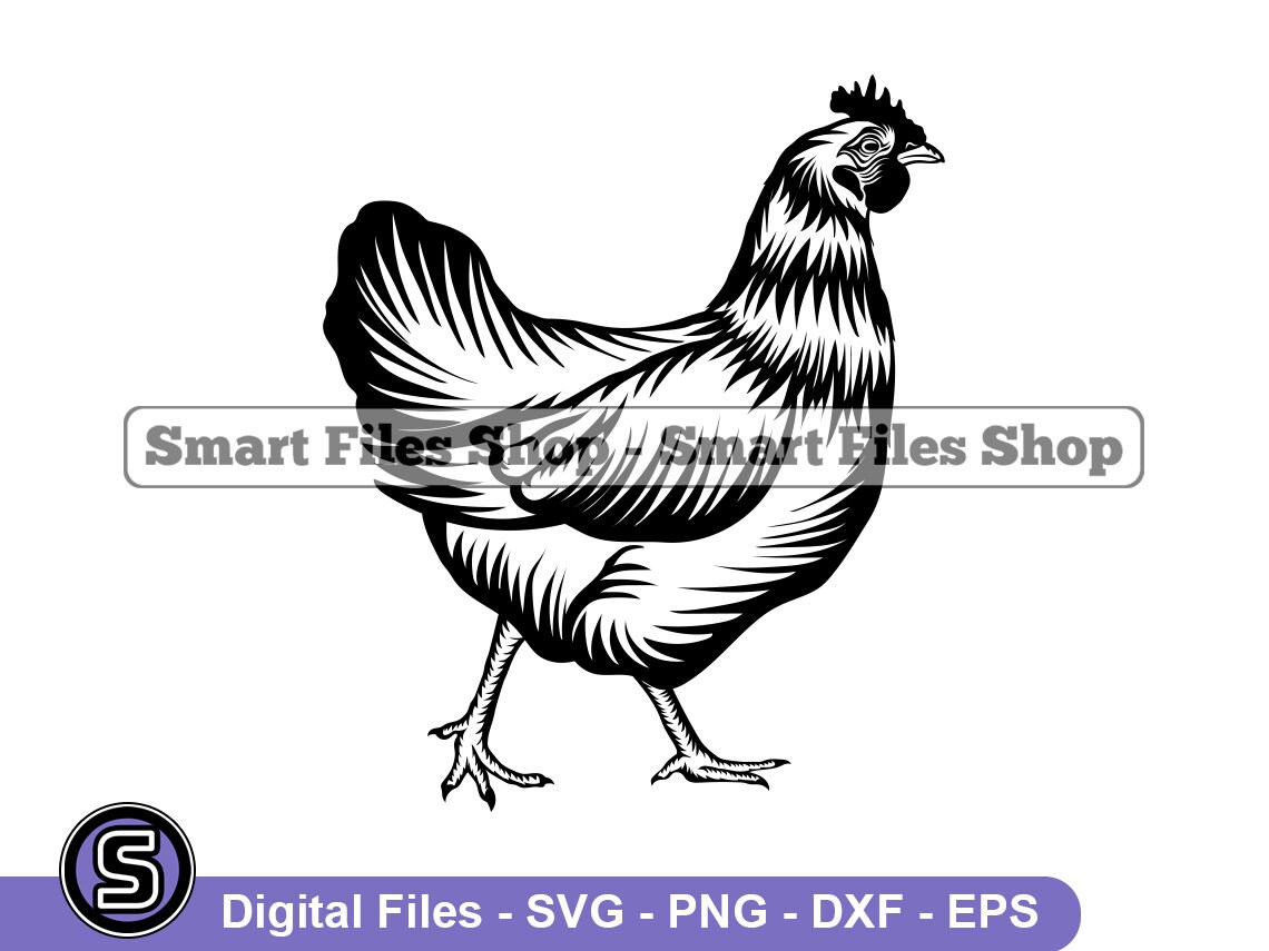 Chicken Svg Farm Animals Svg Chicken Dxf Chicken Png | Etsy