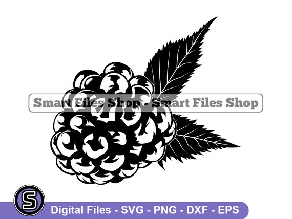 Blackberry Svg Fruit Svg Berry Svg Blackberry Dxf | Etsy
