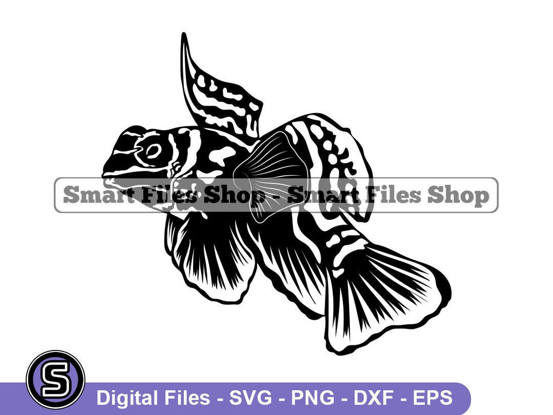 Mandarin Goby Svg, Aquarium Fish Svg, Fish Svg, Pet Fish Svg, Mandarin ...