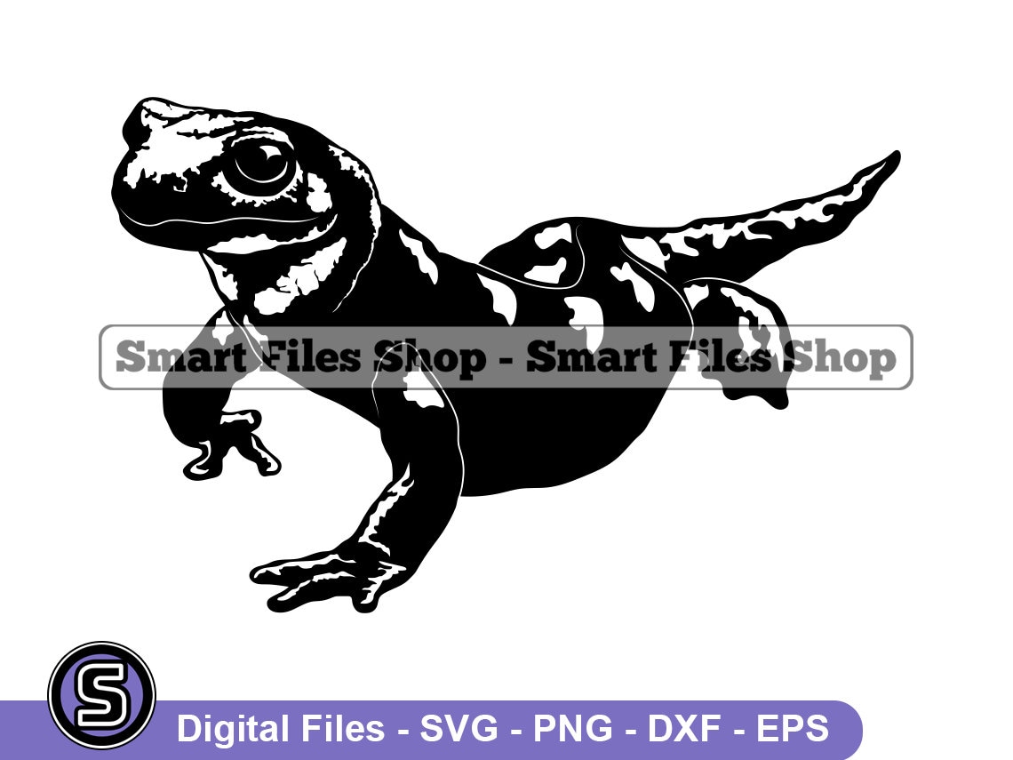 Salamander 4 Svg Salamander Svg Lizard Svg Salamander Dxf | Etsy