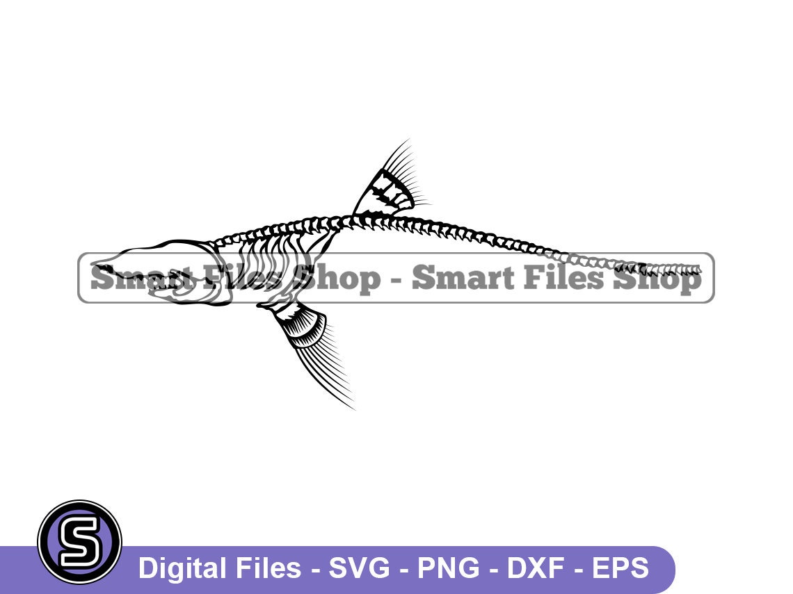 Shark Skeleton 2 Svg Shark Svg Great White Shark Svg Shark - Etsy