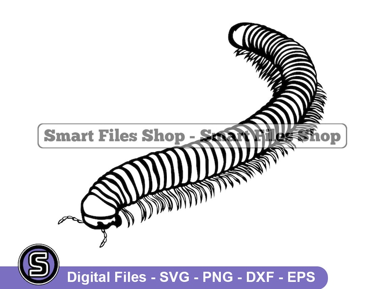 Millipede Svg, Insect Svg, Millipede Dxf, Millipede Png, Millipede ...