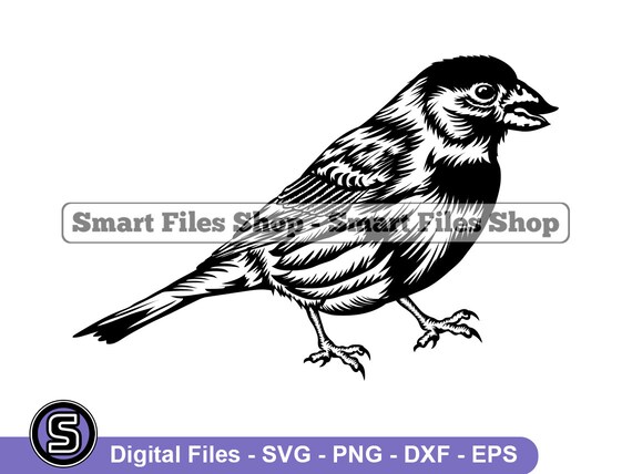 House Finch Svg Bird Svg House Finch Dxf House Finch Png - Etsy España