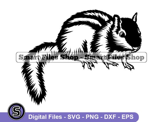 Chipmunk SVG Forest Creatures Svg Chipmunk Dxf Chipmunk | Etsy