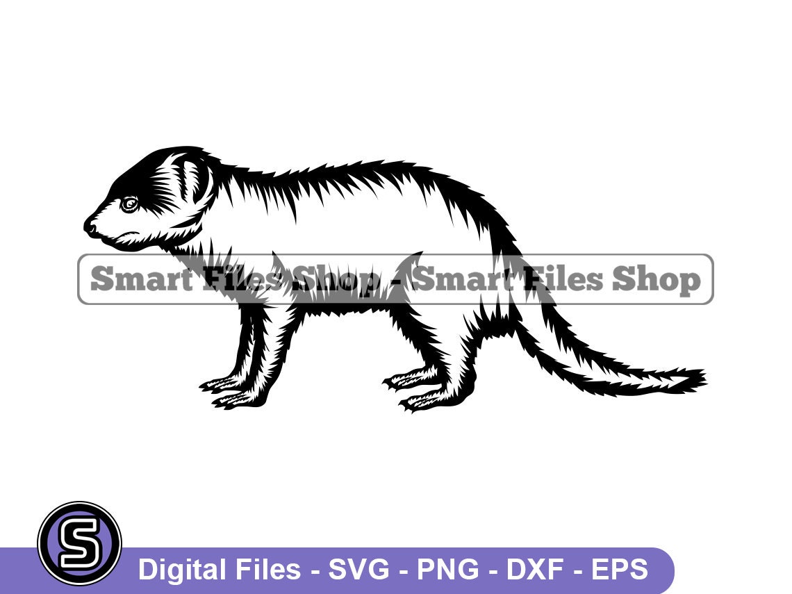 Angry Mongoose Drawing