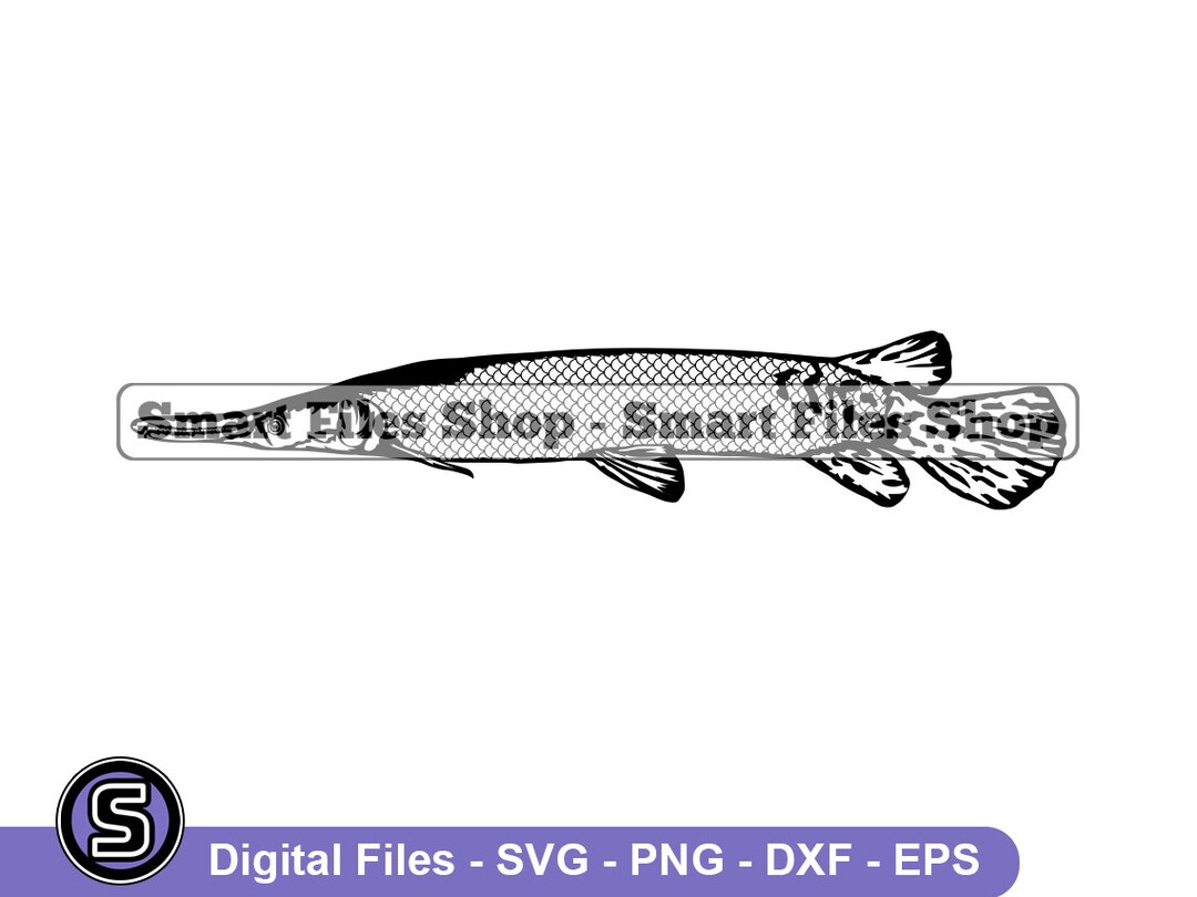 Alligator Gar Svg, Fish Svg, Fishing Svg, Fishing Dxf, Fishing Png ...