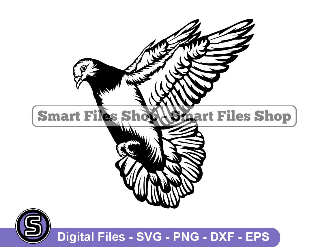 Pigeon #2 SVG, Pigeon Svg, Dove Svg, Pigeon Dxf, Pigeon Png, Pigeon ...