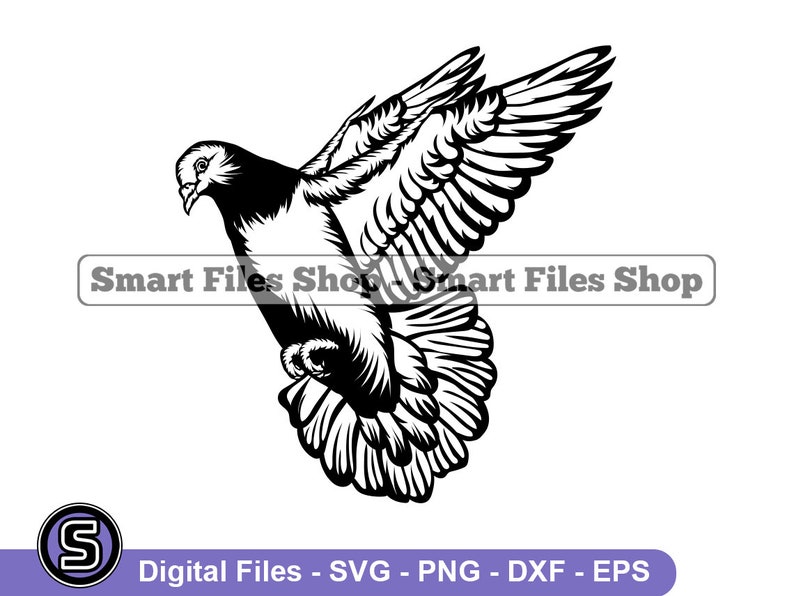 Pigeon #2 SVG, Pigeon Svg, Dove Svg, Pigeon Dxf, Pigeon Png, Pigeon ...