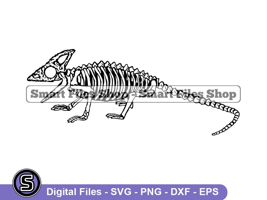 Lizard Skeleton #2 SVG, Lizard Svg, Reptile Svg, Lizard Dxf, Lizard Png ...