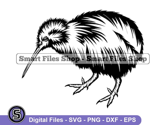 Kiwi 2 SVG Kiwi SVG Animals Svg Kiwi Dxf Kiwi Png Kiwi - Etsy