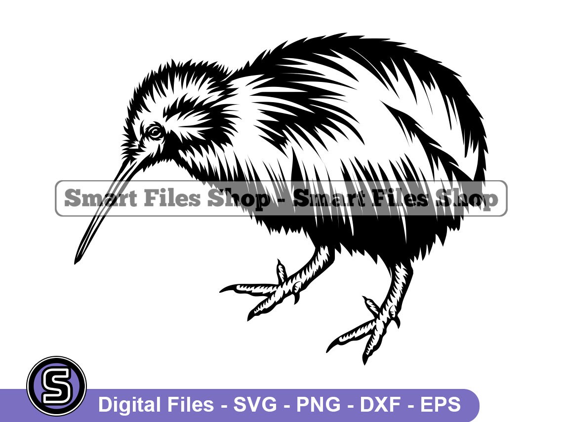 Kiwi 2 SVG Kiwi SVG Animals Svg Kiwi Dxf Kiwi Png Kiwi - Etsy