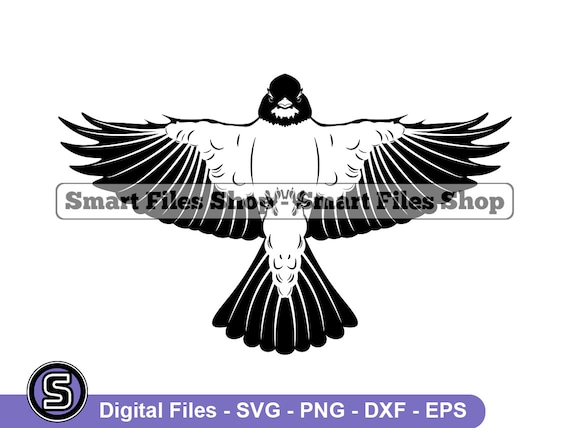 American Robin Logo Svg American Robin Svg American Robin - Etsy Australia