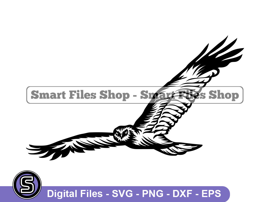 Harrier #4 Svg, Harrier Svg, Predator Bird Svg, Harrier Dxf, Harrier ...