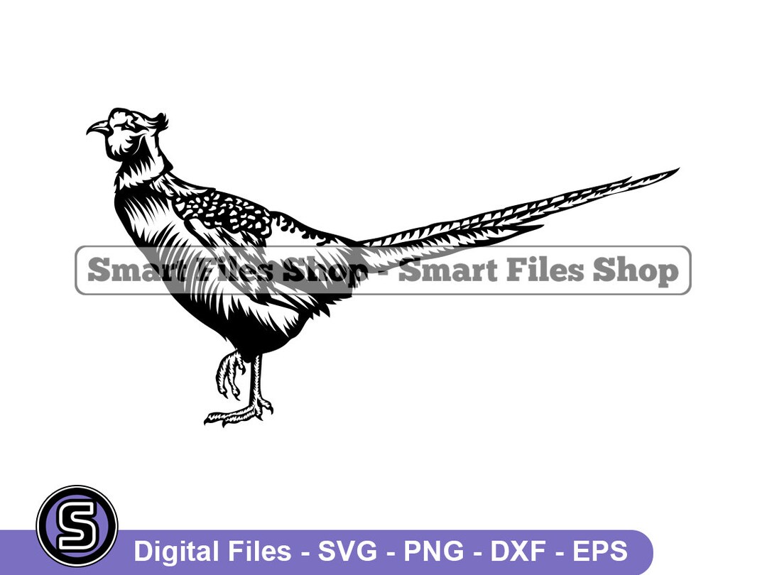 Pheasant #5 SVG, Pheasant SVG, Pheasant Dxf, Pheasant Png, Pheasant ...
