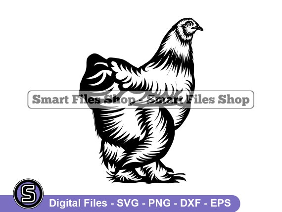 Brahma Chicken Svg Chicken Dxf Chicken Png Chicken Clipart - Etsy