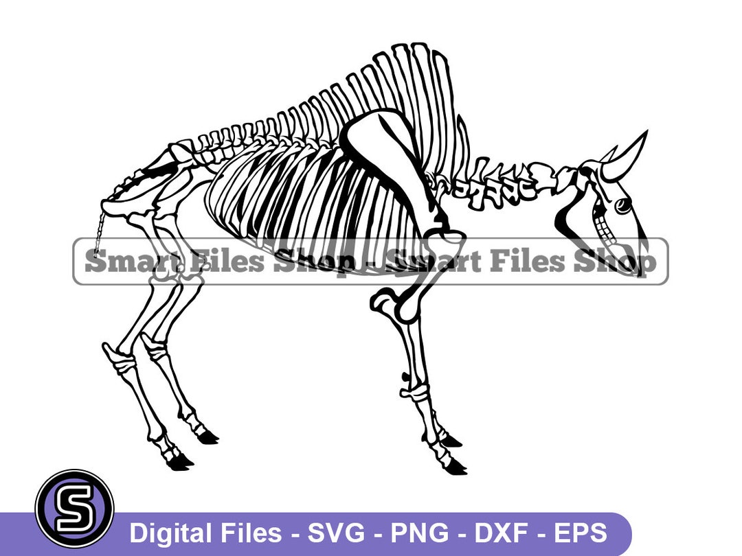 Bison Skeleton Svg, Bison Svg, Buffalo Svg, Bison Dxf, Bison Png, Bison ...