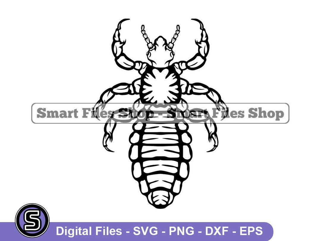 Louse SVG, Animals Svg, Louse Dxf, Louse Png, Louse Clipart, Louse ...