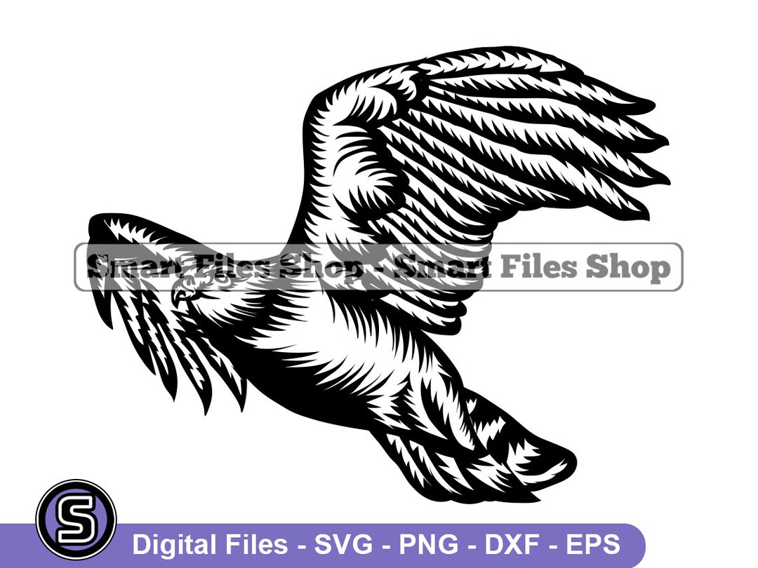 Hawk #2 Svg, Hawk Svg, Predator Bird Svg, Hawk Dxf, Hawk Png, Hawk ...