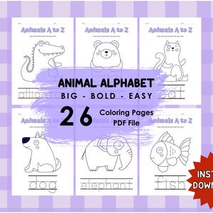 Coloring Book Animal Alphabet A to Z Coloring Book for Kids iPad ...