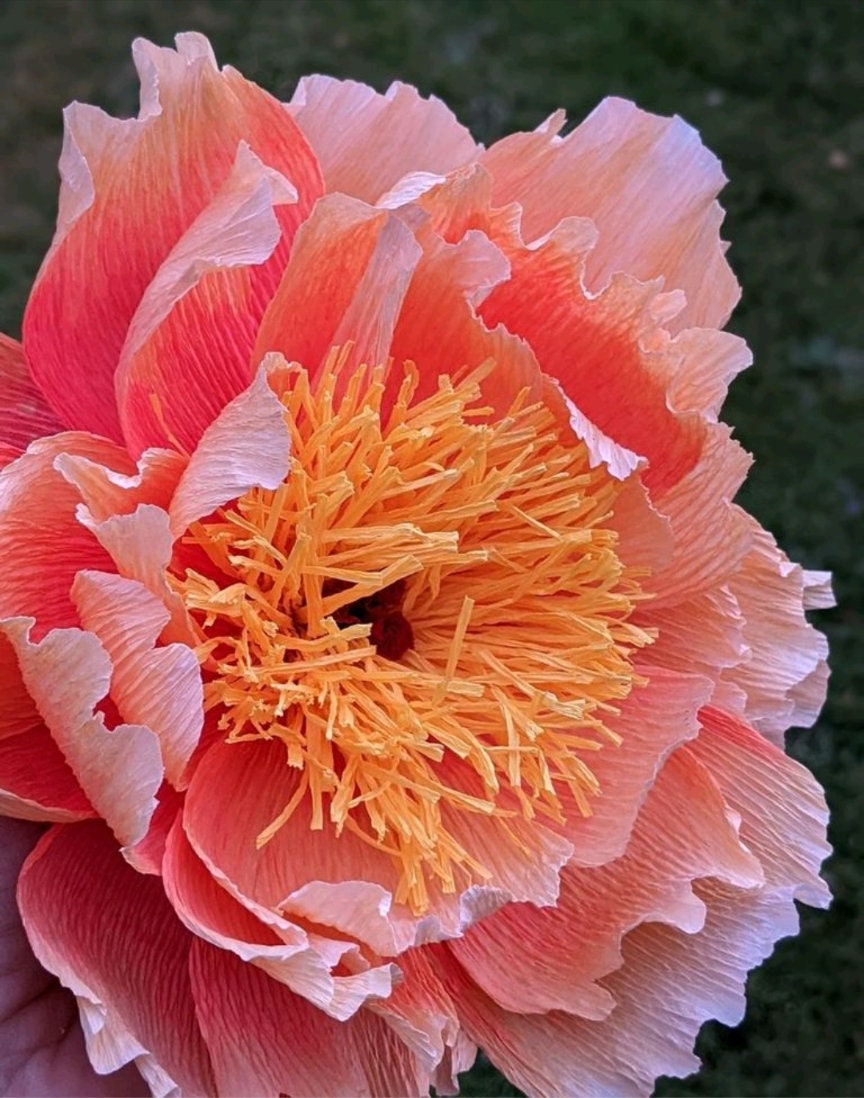 Crepe Paper Flower Peony Peach Pink Handmade Paper First Wedding ...