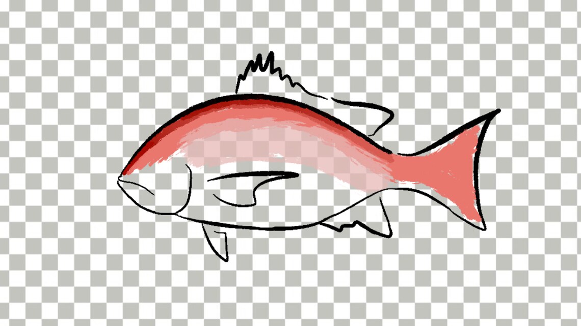 Red Snapper Clipart PNG || Fish Ocean Sea Fishing Digital Downloads ...