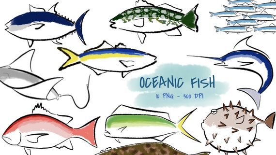 Oceanic Fish Clipart Bundle PNG Saltwater Ocean Fishing | Etsy