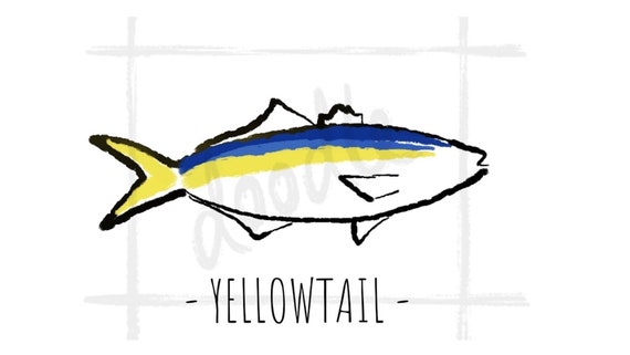 Yellowtail Clipart PNG Fish Ocean Fishing Digital Download | Etsy