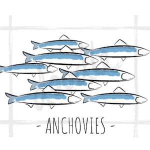 School of Anchovies Clipart PNG || Anchovy Fish Ocean Sea Digital ...