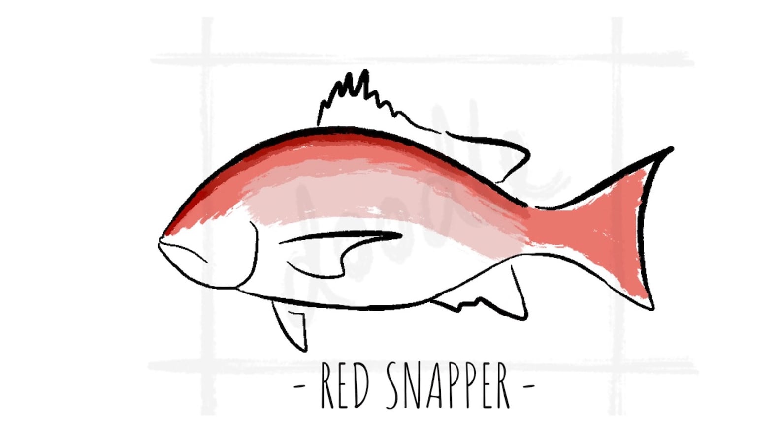 Red Snapper Clipart PNG || Fish Ocean Sea Fishing Digital Downloads ...