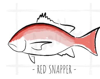 Snapper Clipart - Etsy
