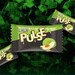 Pulse Candy / Treatspotshop - Etsy