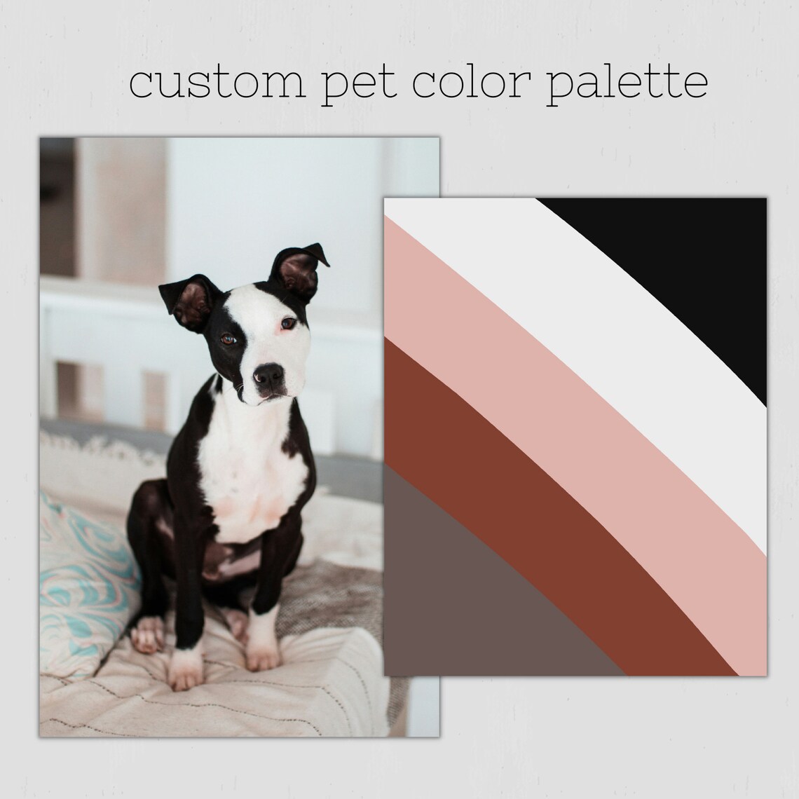 Custom Pet Color Palette Color Scheme Paint Digital Design Print - Etsy
